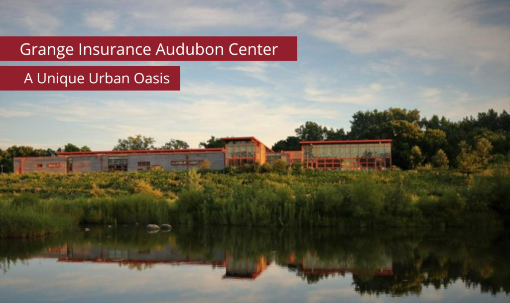 Crunelle Insurance Agency: Comprehensive Coverage Solutions