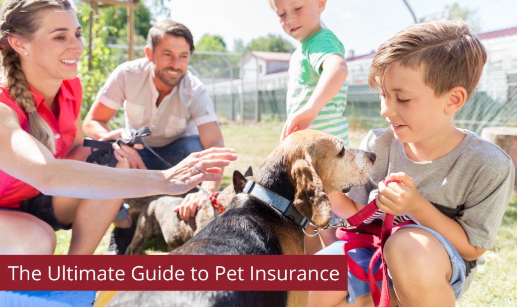 Crunelle Insurance Agency: Comprehensive Coverage Solutions